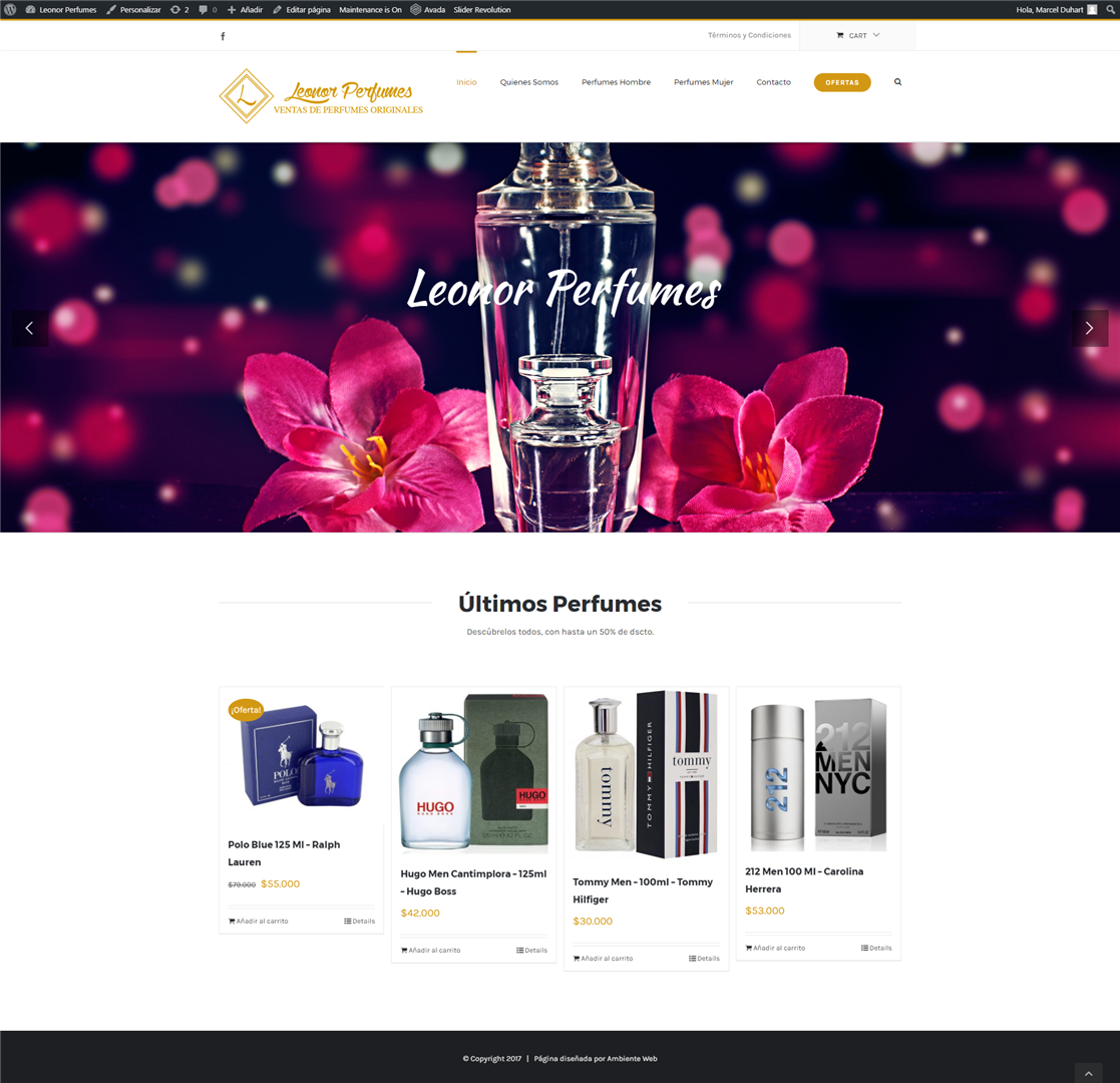 Leonor Perfumes – Diseño gráfico y desarrollo Web Valdivia